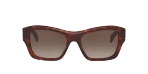 Celine Cl000619 Black Tortoise