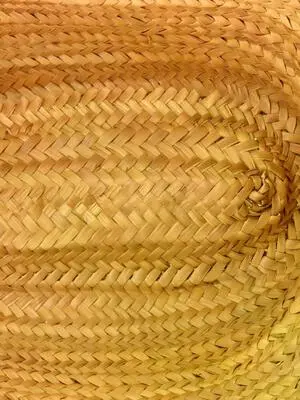 Celine Triomphe Basket Raffia With Leather Large Shoulder Bag
