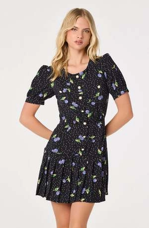 Astr The Label Brenlee Puff-sleeve Mini Dress