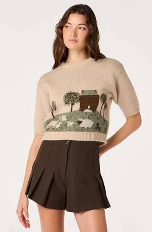 Astr The Label Paola Pleated High-rise Mini Shorts - Brown