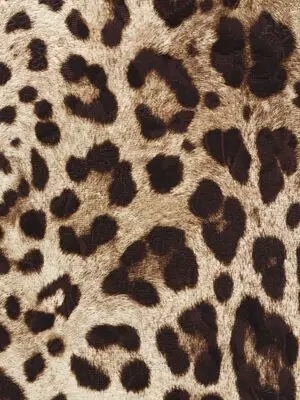Dolce & Gabbana Leopard Print Mini Skirt