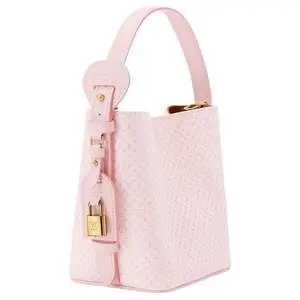 LOUIS VUITTON All In Bb Bag