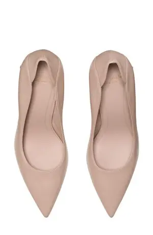 Kate Spade New York Daphne Pointed Toe Stiletto Pumps - Pale Vellum