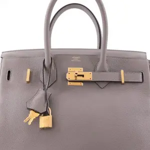 Hermès Birkin Handbag Novillo With Gold Hardware 30