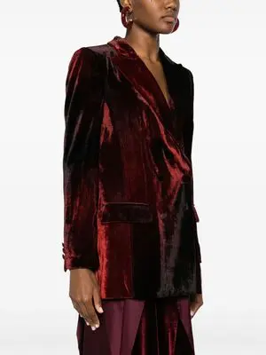 Alberta Ferretti Double-breasted Velvet Blazer