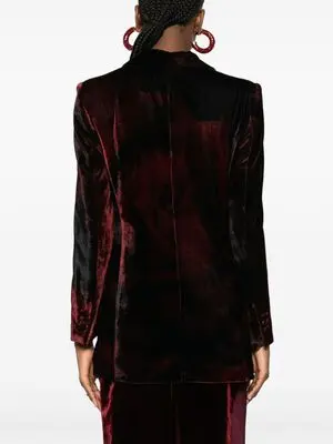 Alberta Ferretti Double-breasted Velvet Blazer