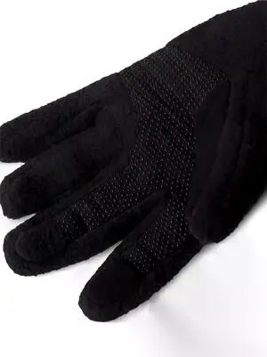 The North Face Denali Gloves
