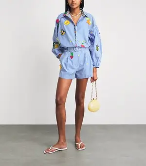 Camilla Cotton Striped Appliqué Shirt - Blue