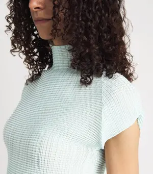 Issey Miyake Wooly Pleats Mock-neck Top