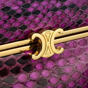 Celine Cube Python Handheld Bag