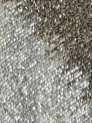 Elisabetta Franchi Sequinned Tulle Midi Skirt - Ivory