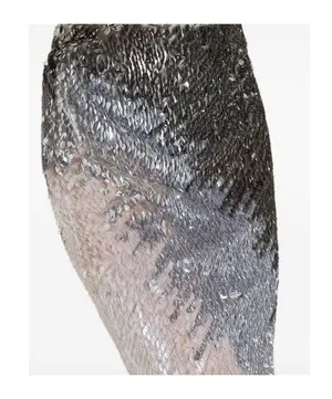 Elisabetta Franchi Sequinned Tulle Midi Skirt - Ivory