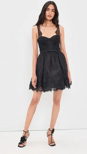 Zimmermann Valiant Lace Trim Mini Dress