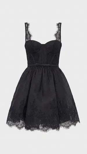 Zimmermann Valiant Lace Trim Mini Dress