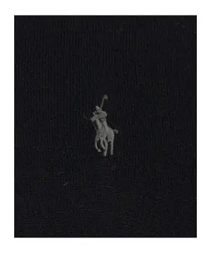 Polo Ralph Lauren Logo Embroidered Long-sleeved Polo Shirt