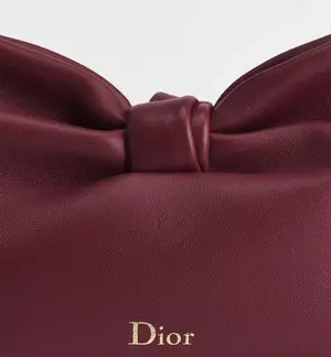 Dior Small Bow Bag - Hermit Red
