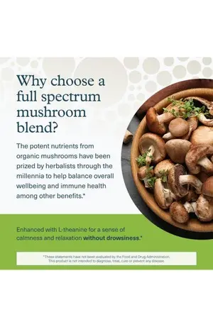 YOUTHEORY Mushroom Immune Complex Vegan Support Supplement 60 Vegetarian Capsules