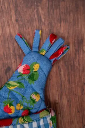 MODERN PRAIRIE Strawberry Magic Happy Hen Mini Mitt