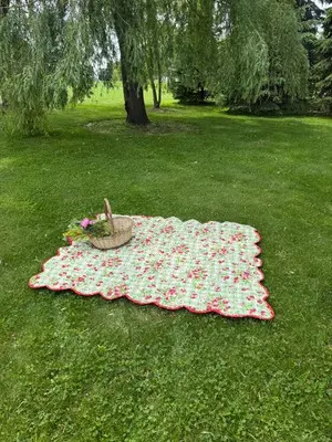 MODERN PRAIRIE Strawberry Gingham Throw