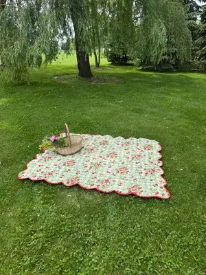 MODERN PRAIRIE Strawberry Gingham Throw