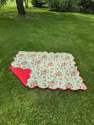 MODERN PRAIRIE Strawberry Gingham Throw