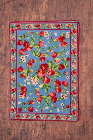 MODERN PRAIRIE Strawberry Magic Placemats