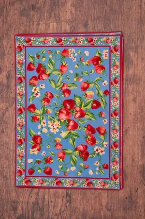 MODERN PRAIRIE Strawberry Magic Placemats