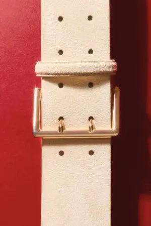 H&M Wide Belt