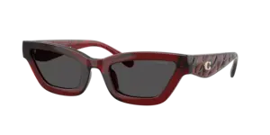 COACH Sunglass Cad28