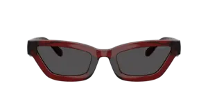 COACH Sunglass Cad28
