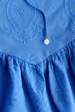 H&M Embroidered Flared-skirt Dress