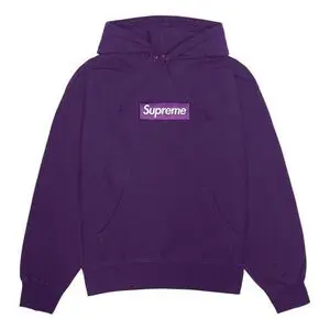 Supreme Supreme Fw23 Box Logo Hooded Sweatshirt 'purple' Purple