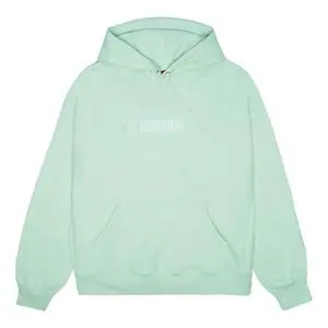 Supreme Fw23 Box Logo Hooded Sweatshirt - Light Green