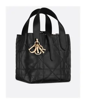 Dior Toujours Vertical Nano Tote Bag