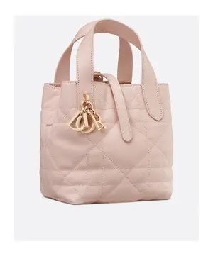 Dior Toujours Vertical Nano Tote Bag