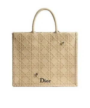 Dior Large Book Tote