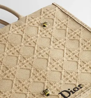 Dior Large Book Tote