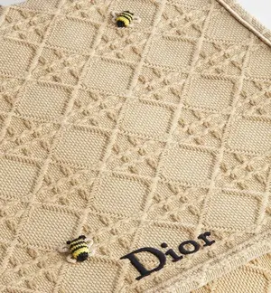 Dior Large Book Tote