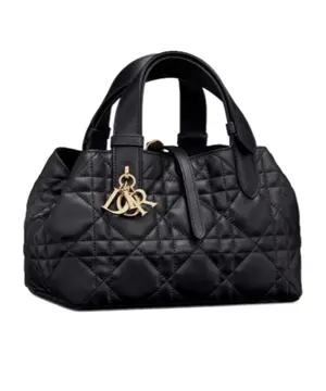 DIOR Small DiorToujours Bag