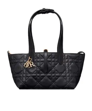 Dior Small Diortoujours Bag
