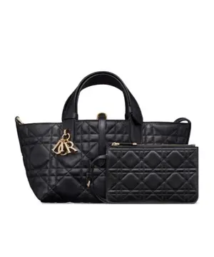 Dior Small Diortoujours Bag