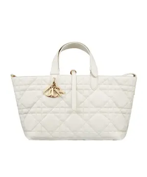 Dior Medium Toujours Bag