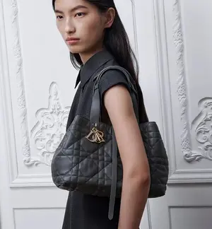 Dior Medium Always Bag - Grey