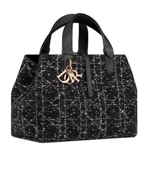 Dior Medium Toujours Bag