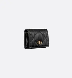 Dior Caro Glycine Wallet