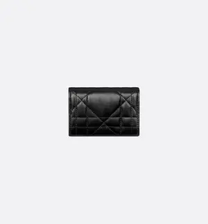 Dior Caro Glycine Wallet
