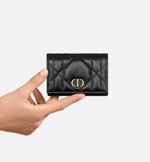 Dior Caro Glycine Wallet