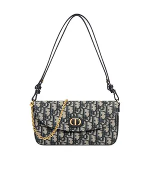 Dior 30 Montaigne D-vine Pouch With Chain