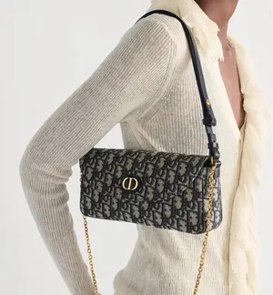 Dior 30 Montaigne D-vine Pouch With Chain