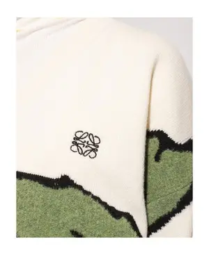 Loewe Asymmetric Floral Intarsia Knit V-neck Jumper